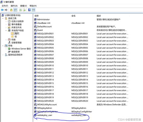 asp net core 项目从本地部署到远程云服务器 asp文件怎么搭建云服务器 CSDN博客