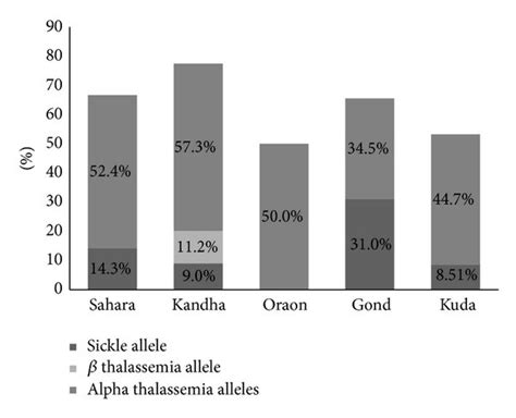 Prevalence Of Alpha Thalassemia Allele Sickle Allele And β