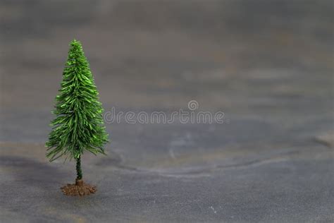 Tree On Grey Stock Image Image Of Tree Symbolic Miniature 187829955