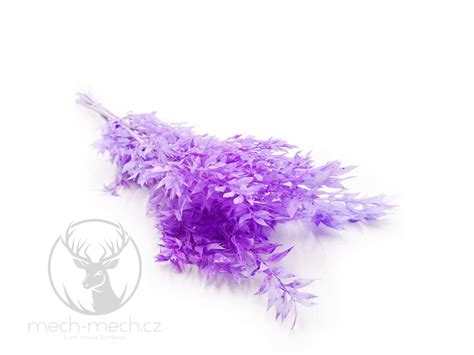 Ruskus Ruscus Mech Mech Cz