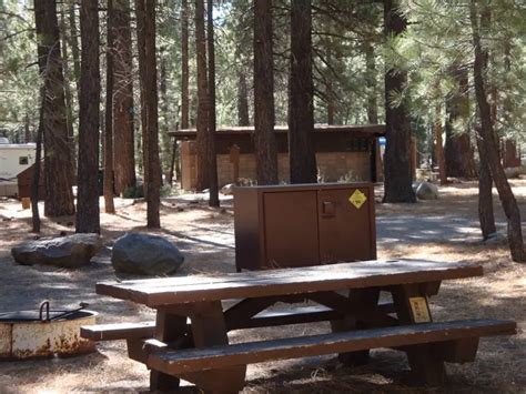 Site 016 Old Shady Rest Campground