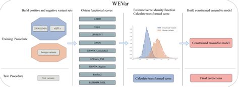 Github Alfredyewangwevar Wevar A Novel Statistical Learning Framework For Predicting Non