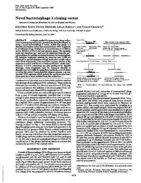 Pdf Novel Bacteriophage Lambda Cloning Vector