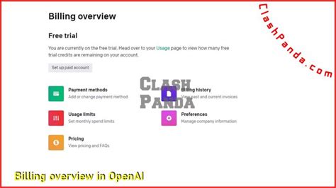 Getting Started With Chat GPT A Guide To API Keys Billing And Usage ClashPanda