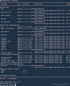 How To Install Linux Apache MySQL PHP LAMP Stack On RHEL 8 NixCraft