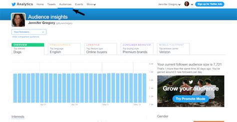 Twitter Analytics: The Complete Guide for Professionals 2025