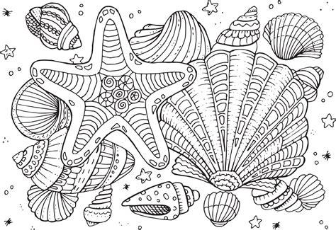 Dive Into Creativity With Seashell Printable Coloring Pages