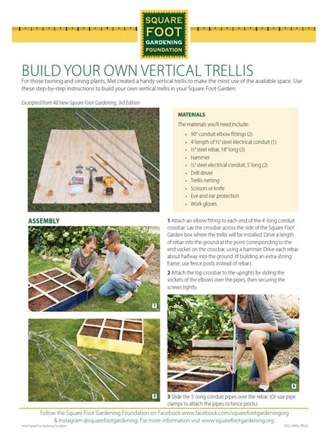 Module 6 Sfg Build Your Own Vertical Trellis Handout Pdf Pipe