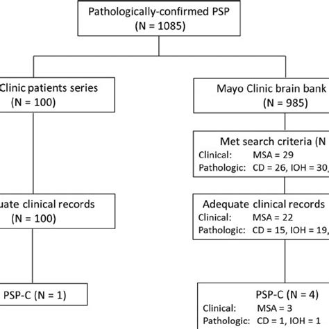 Flowchart Of Study Design PSP Progressive Supranuclear Palsy PSP C Download Scientific
