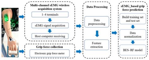 A Surface Electromyography Semg System Applied For Grip Force Monitoring