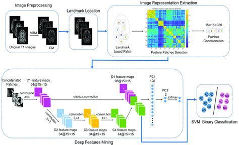 The Framework Of Alzheimers Disease Classification Algorithm Based On Download Scientific