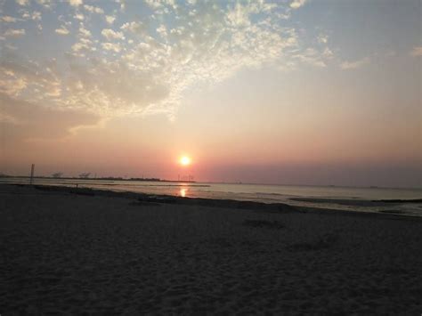 Bernadette Van Daele