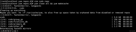 Linux安装及管理程序linux程序 Csdn博客