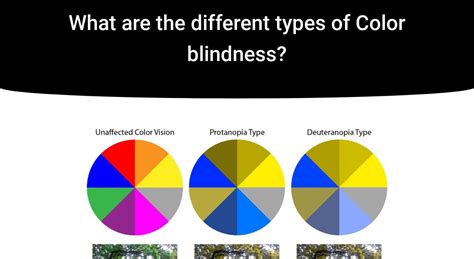 What Are The Different Types Of Color Blindness Iristech