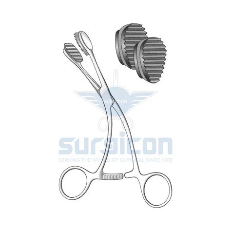 Young Tongue Holding Forcep Upscale Instruments