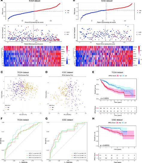Construction And Validation Of The Args Scoring Model The Distribution