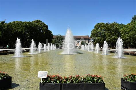 上野公園大噴水 上野公園 噴水前広場 上野恩賜公園 大噴水（東京都） Wyofnn