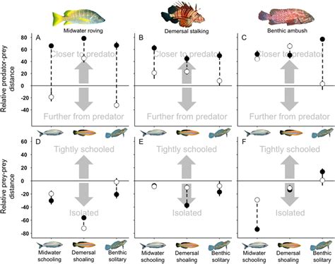 Difference In Response Ac Predatorprey Distance Proxy For The