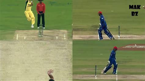 Cricket Ball Detection Object Detection Dataset And Pre Trained Model