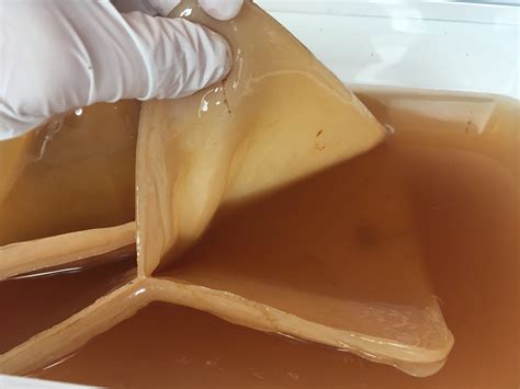 Bio Digital Fabrication With Bacterial Cellulose Hbbe