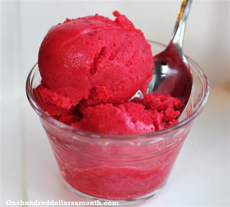 Homemade Raspberry Sorbet In Ice Cream Maker At Marlene Walsh Blog