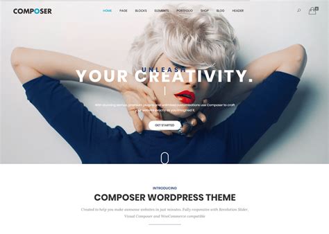 Composer Wordpress Theme Aards Nominee