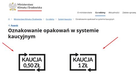 Czy Można Zignorować System Kaucyjny I Dalej Wyrzucać Puszki