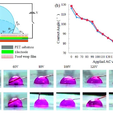 Pdf Electrowetting On Dielectric Based Economical Digital