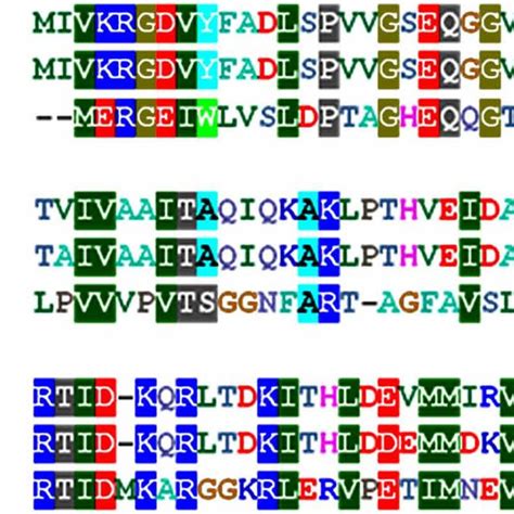 Pdf Protein Structure Prediction Using Homology Modeling Methods And Tools