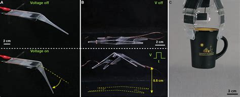 Spider Inspired Electrohydraulic Actuators For Fast Soft Actuated Joints Robotic Materials