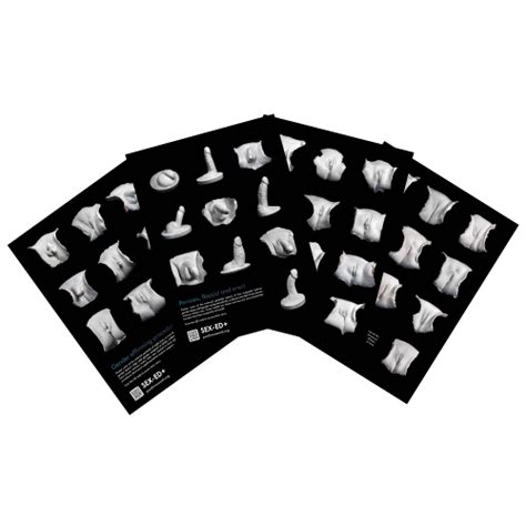 Genital Diversity On Your Walls Sex Ed