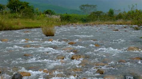 🎧 『자연의소리계곡물소리』 평화로운 숲소리 귀뚜라미 소리 잠잘때 들리는 자연소리 보글보글 물소리 숙면과 공부 휴식을 위한 백색소음 Asmr Youtube