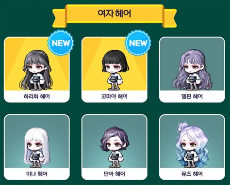 210121 메이플 페브러리 로얄 헤어와 성형 돌리기 네이버 블로그