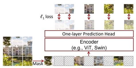 自监督学习系列（三）：基于 Masked Image Modelingmask Image Modeling Csdn博客