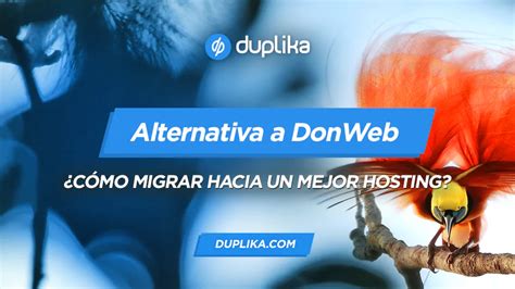 Alternativa A Donweb Cómo Migrar Hacia Un Mejor Hosting Duplika