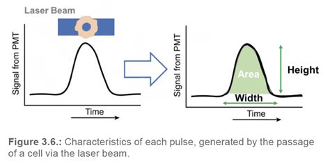 Microfluidics Cell Sorting Technology Nanocellect