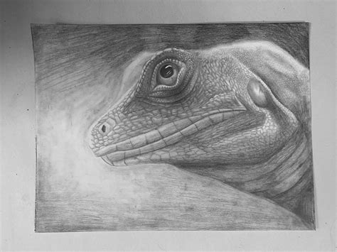 Advanced Drawing Istation