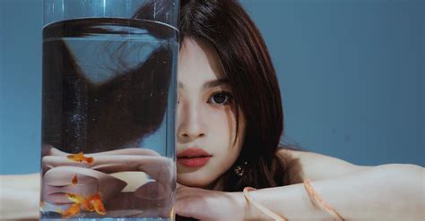 걱정 없는 고요한 관념적인 구성 금붕어 눈길을 끄는 무드 조명 묵상 물 물고기 미니멀리스트 반사 반사된 사람 상상력 수생 수조 수족관 수중