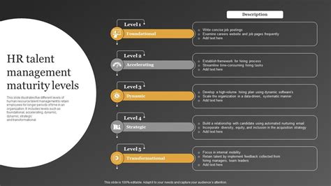 Hr Talent Management Maturity Levels Ppt Slide