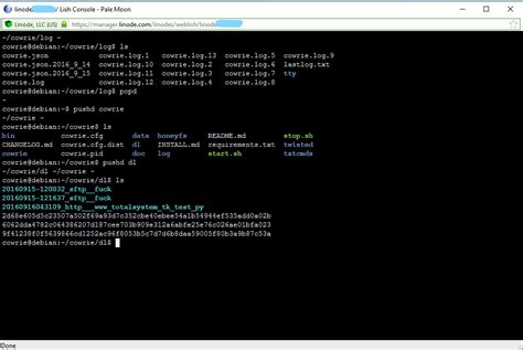 The Ith Element Ssh Honeypots With Cowrie