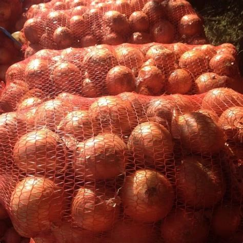Продам лук старый-севок, купить лук старый-севок, Львовская обл — Agro ...