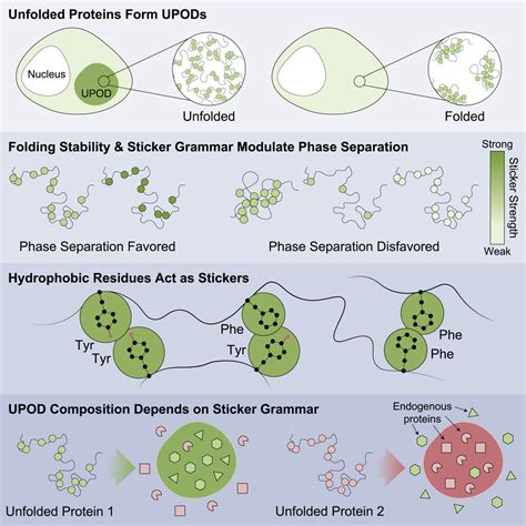 Protein Aggregation Database At Andrew Campos Blog