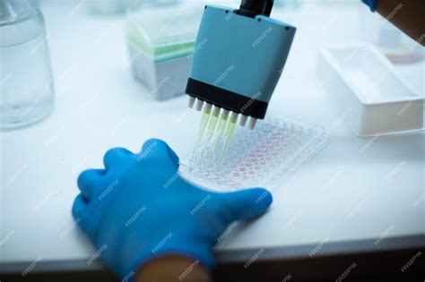 Premium Photo In Vitro Cellular Assay Using Multi Pipette And Well
