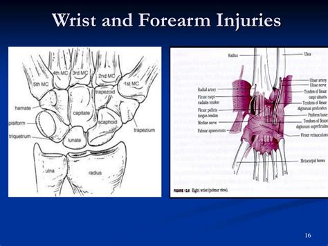 Ppt Chapter 12 Powerpoint Presentation Free Download Id 5563885