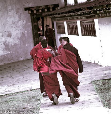 Entourage Photograph By Michael Vishnevetsky Fine Art America