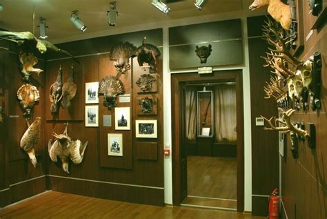 Muzeul Cinegetic August Von Spiess Din Sibiu Sibiu Independent