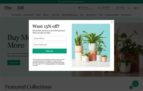 Exit Intent Popup Examples Ortto