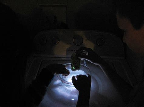 Almost Unschoolers Second Christmas Science Light And Shadow
