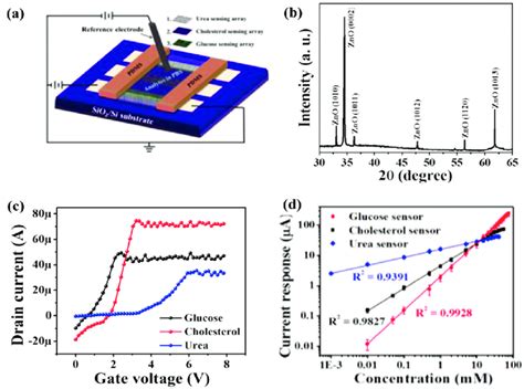 A Schematic View Of Fet Device Measurement To Simultaneously Detect Download Scientific