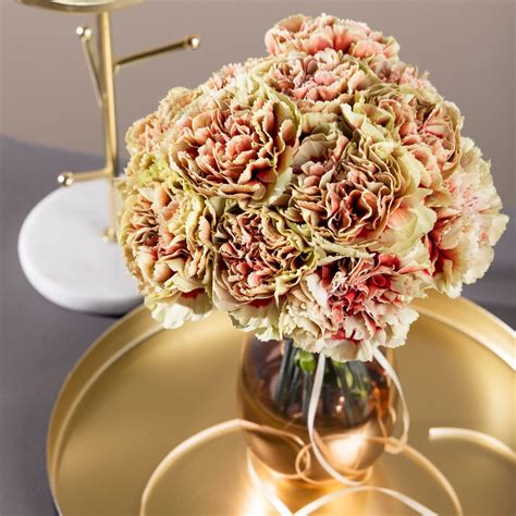 Home Dianthus Flowers